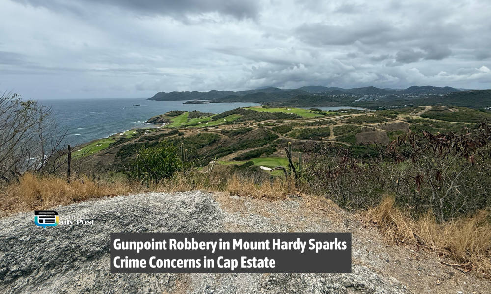 Gunpoint Robbery in Mount Hardy Sparks Crime Concerns in Cap Estate ...